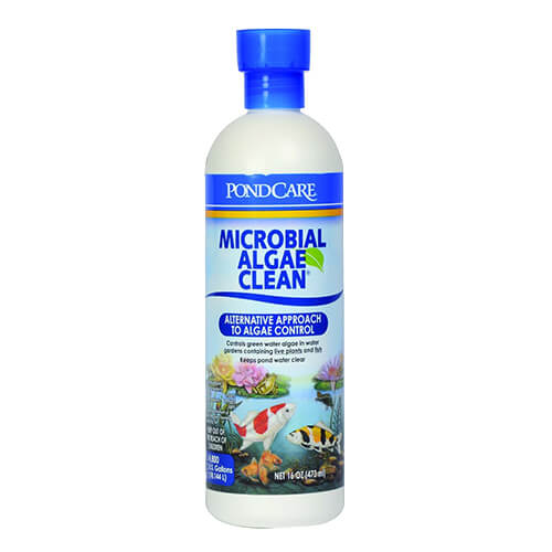 API Microbial Algae Clean 16oz. – Pond Plants of Eugene
